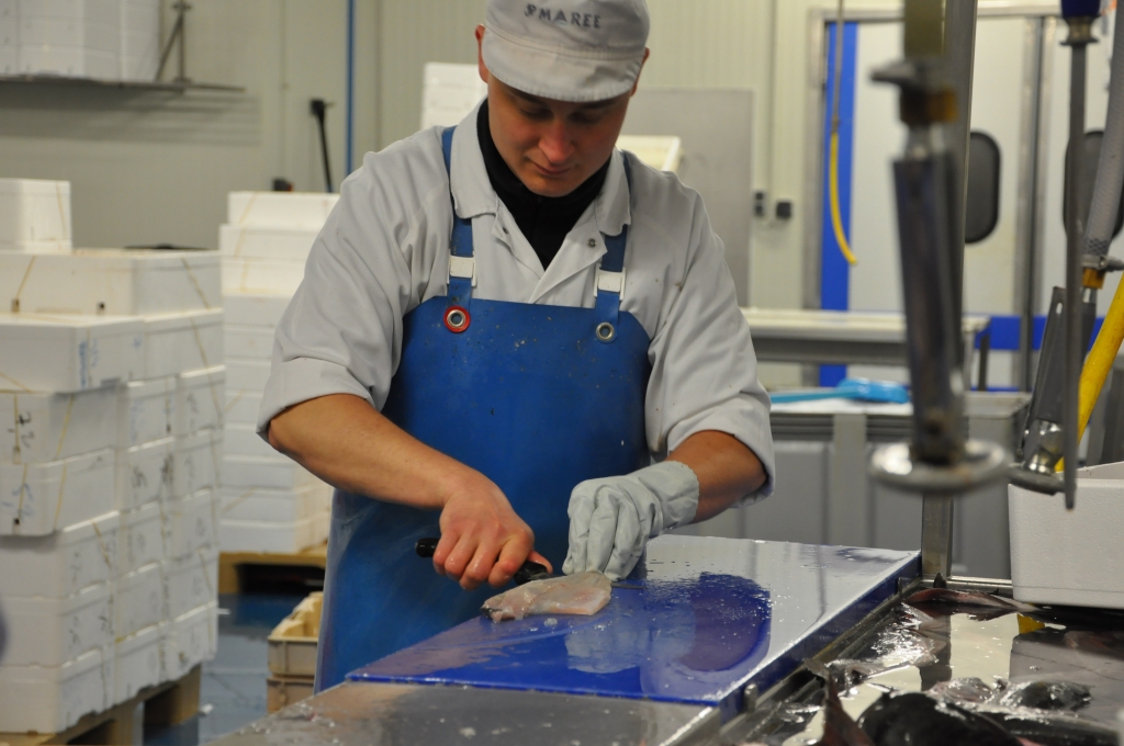 Filetage manuel - JP MaréeJP Marée