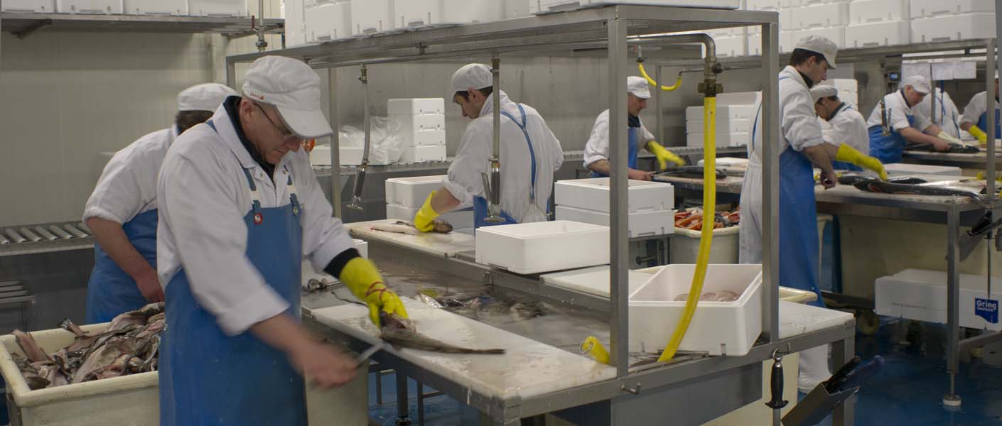 Filetage manuel - JP MaréeJP Marée